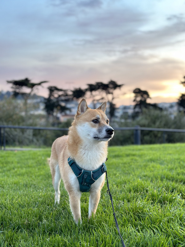 IMG 9871 Original — Postimages