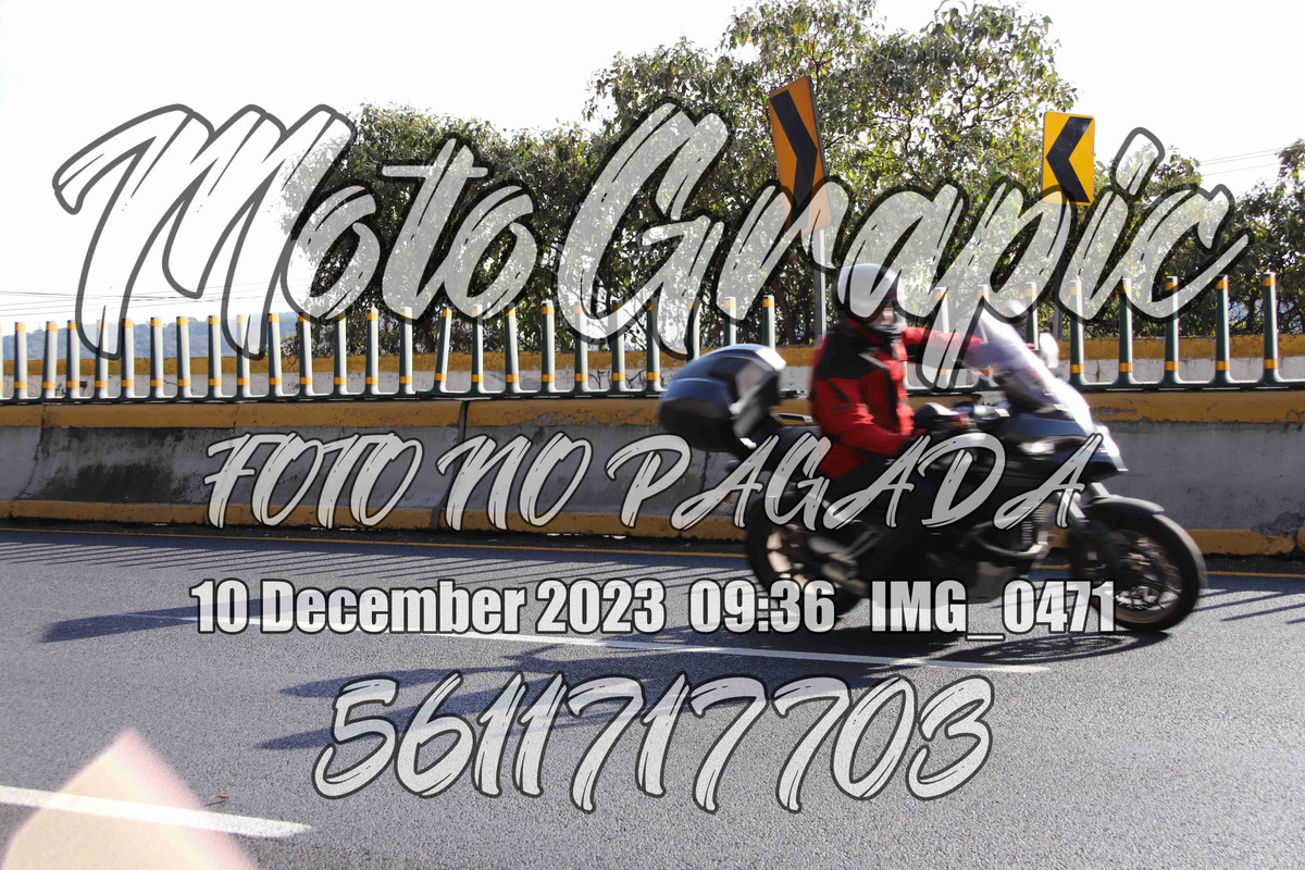 motgr IMG 0471 — Postimages