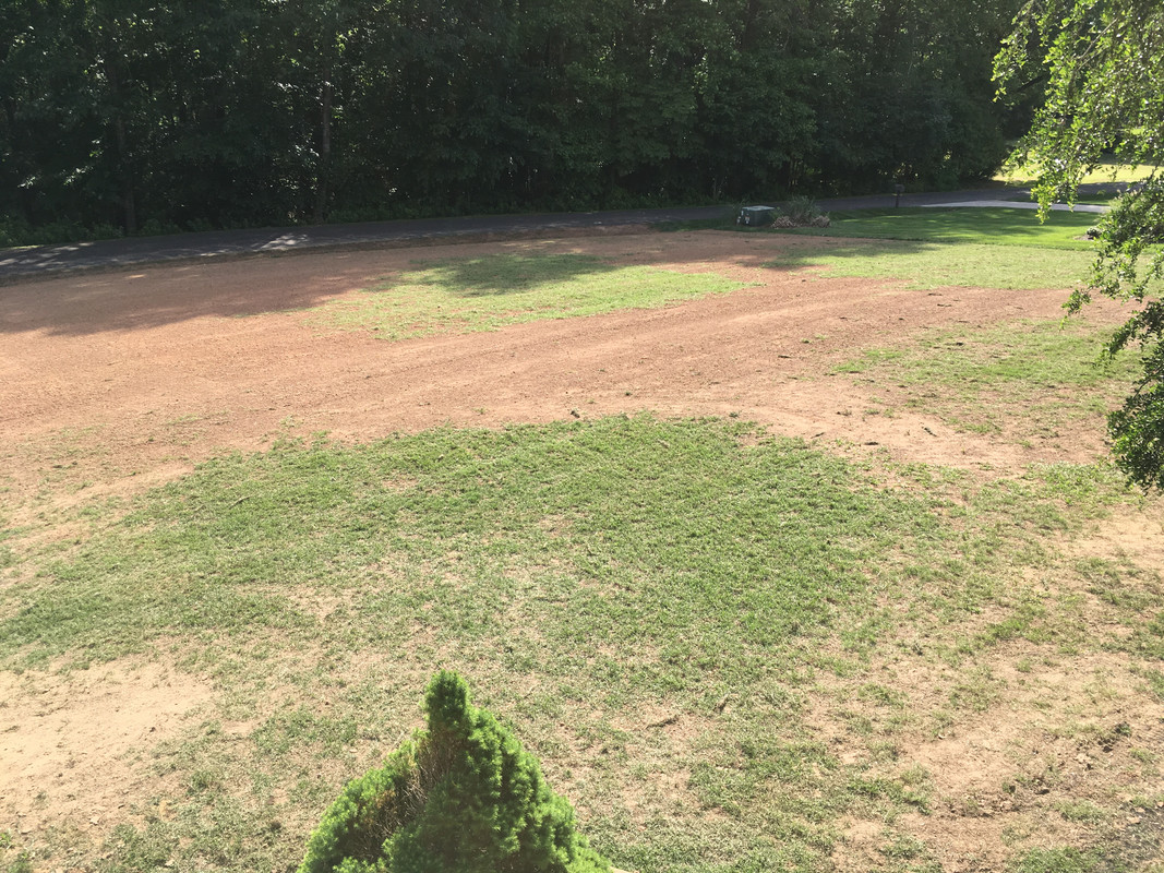 Experiment: Beat Snot Out of Lawn + 1000 lbs Milo + Poor Man's Leveling ...