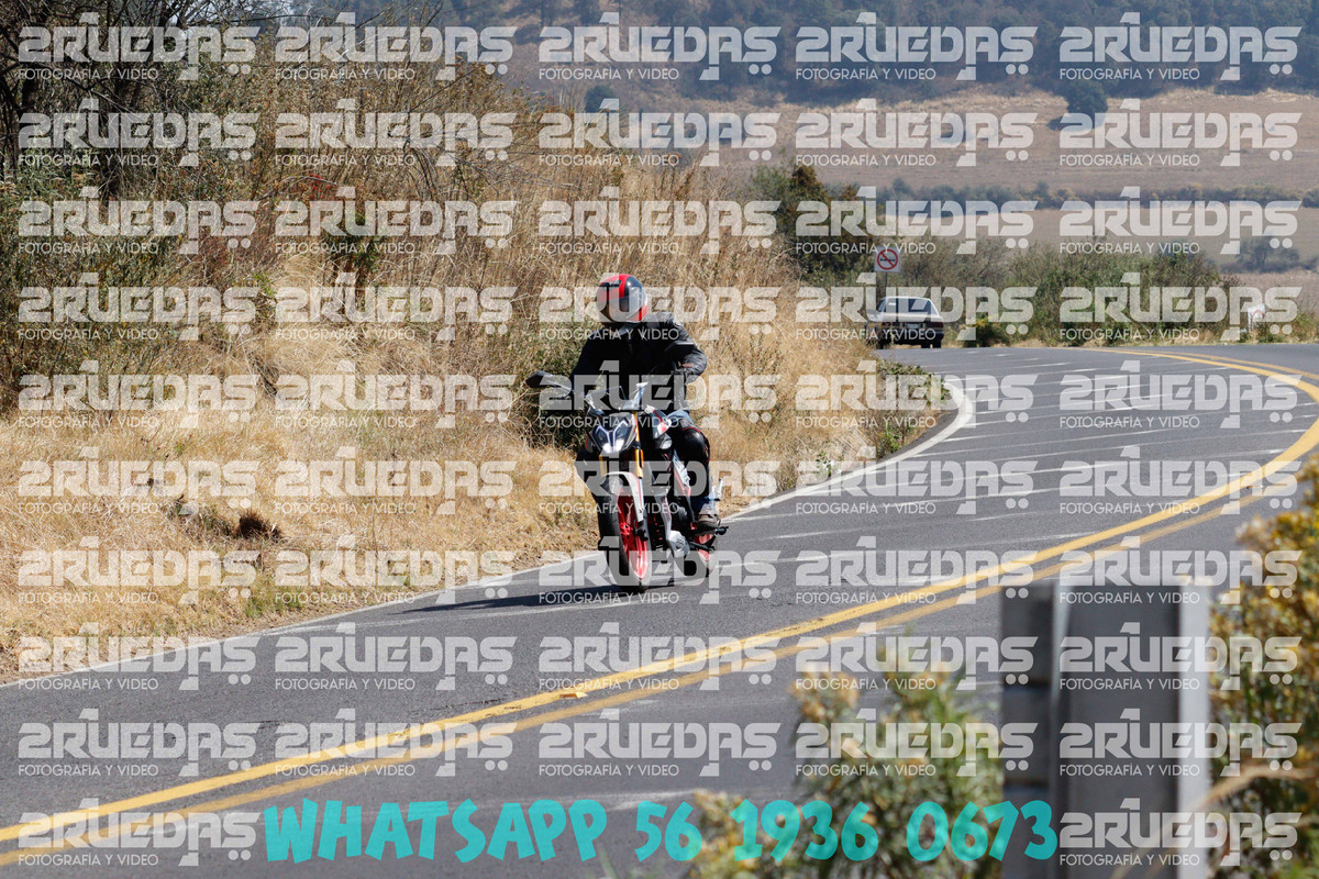 MG 0555 — Postimages