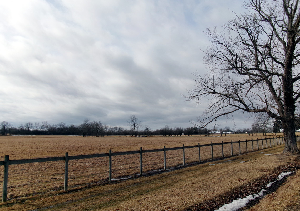 RunningAHEAD - Topic: February - Chasing the pace groundhog!