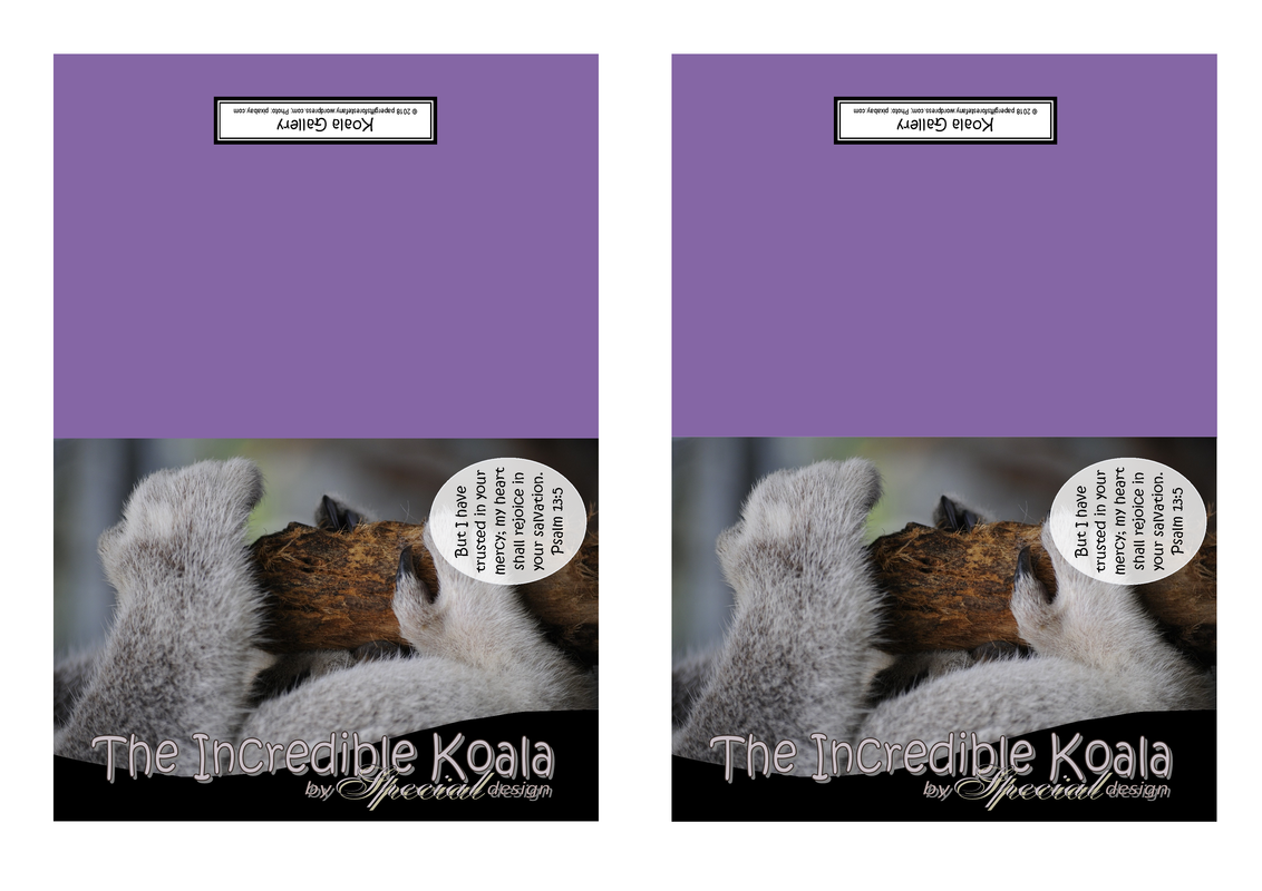PGFE Koala Photo Note Cards4 A4 — Postimages