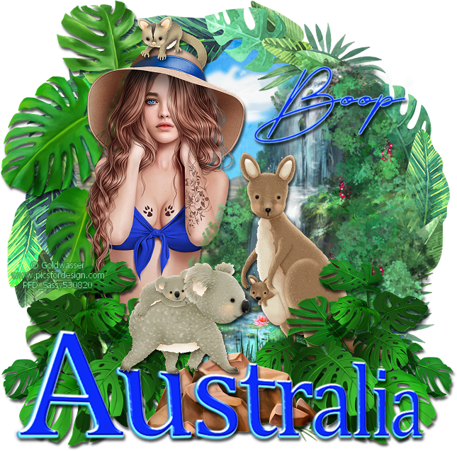 Australia kangaroo jungle panda — Postimages