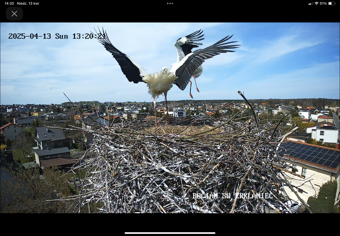 IMG 1605 — Postimages