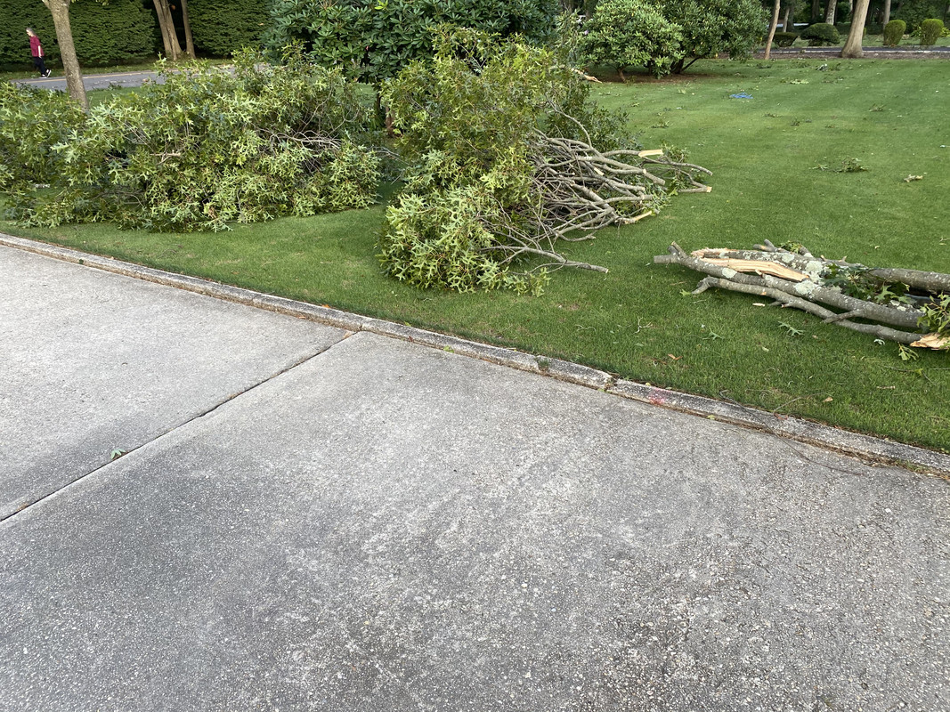 IMG 7163 — Postimages