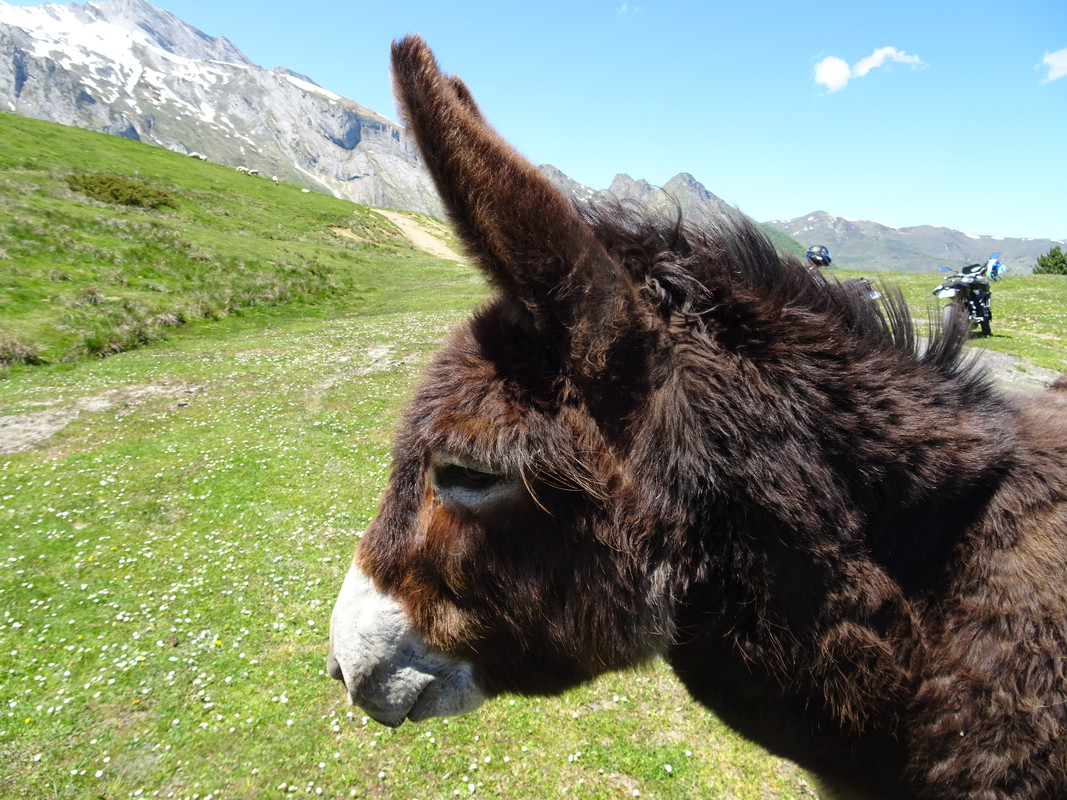 J3 Profil — Postimages