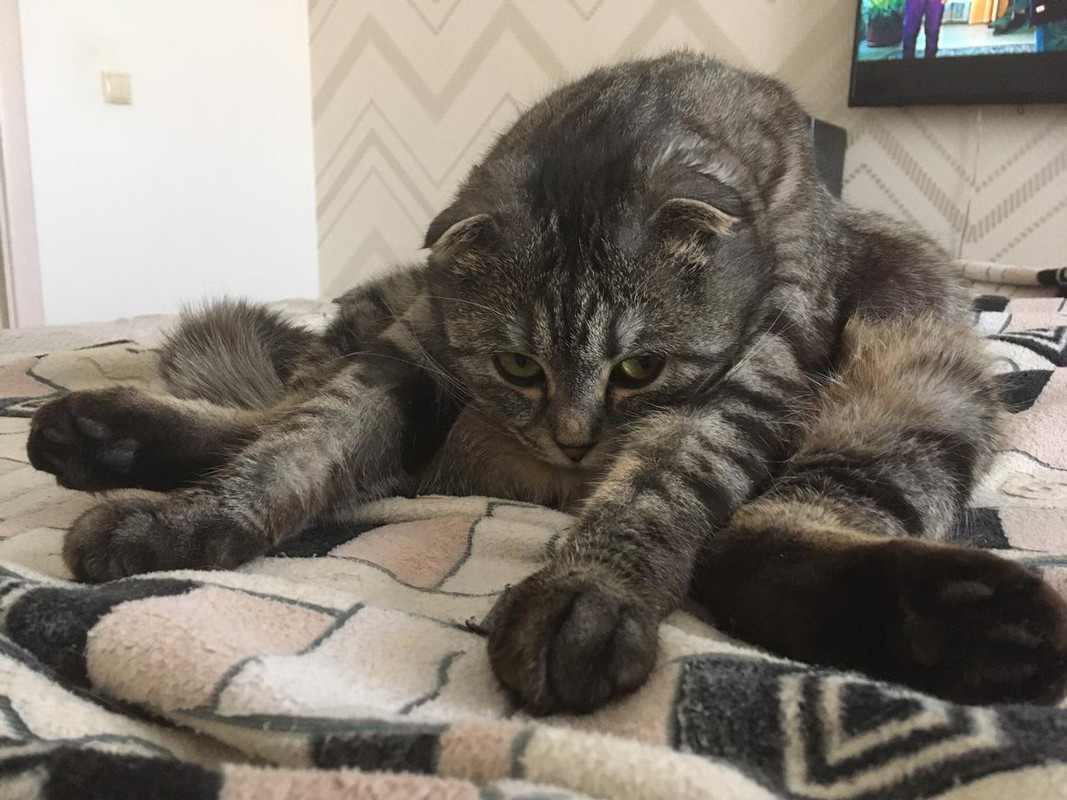 13589 C64 5 A72 44 B3 A7 E3 A0967825 B22 E — Postimages