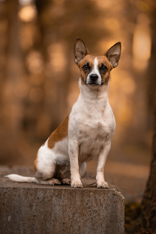 MG 4882 — Postimages