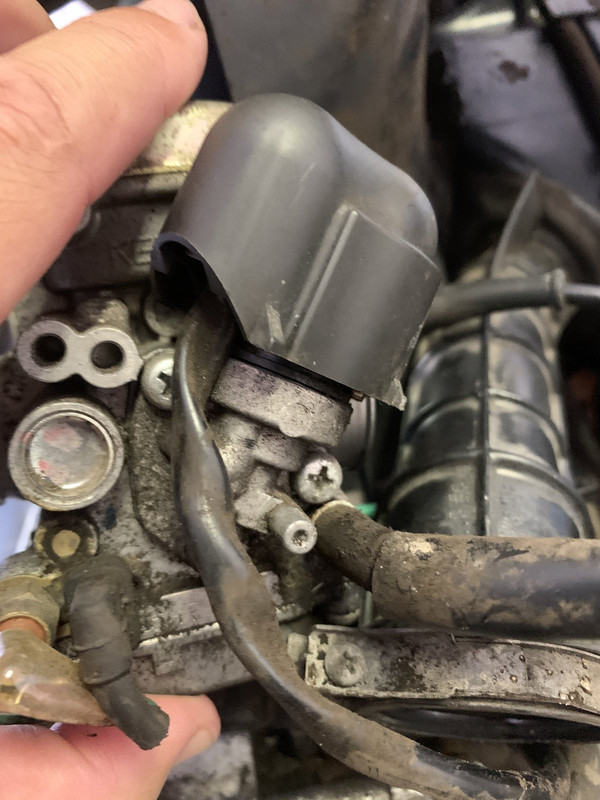 IMG 3855 — Postimages