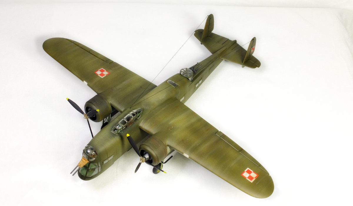 LWS-6 ZUBR - Ready for Inspection - Aircraft - Britmodeller.com