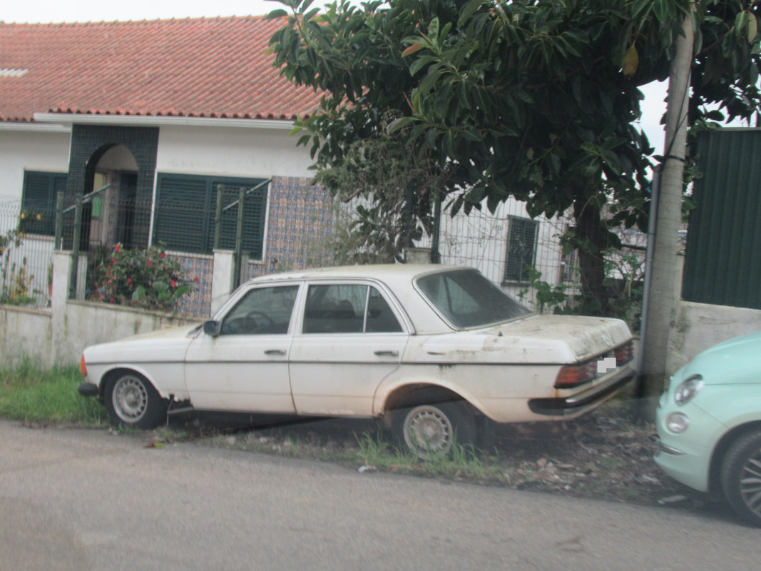 IMG 6010 — Postimages