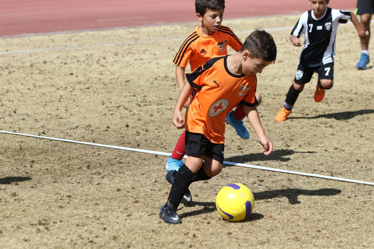 VIK 2258 — Postimages