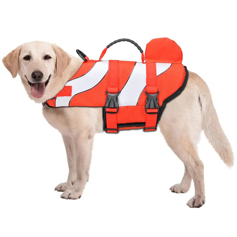 ED43 F19 B 1874 463 A 8 E61 486 E04992450 — Postimages