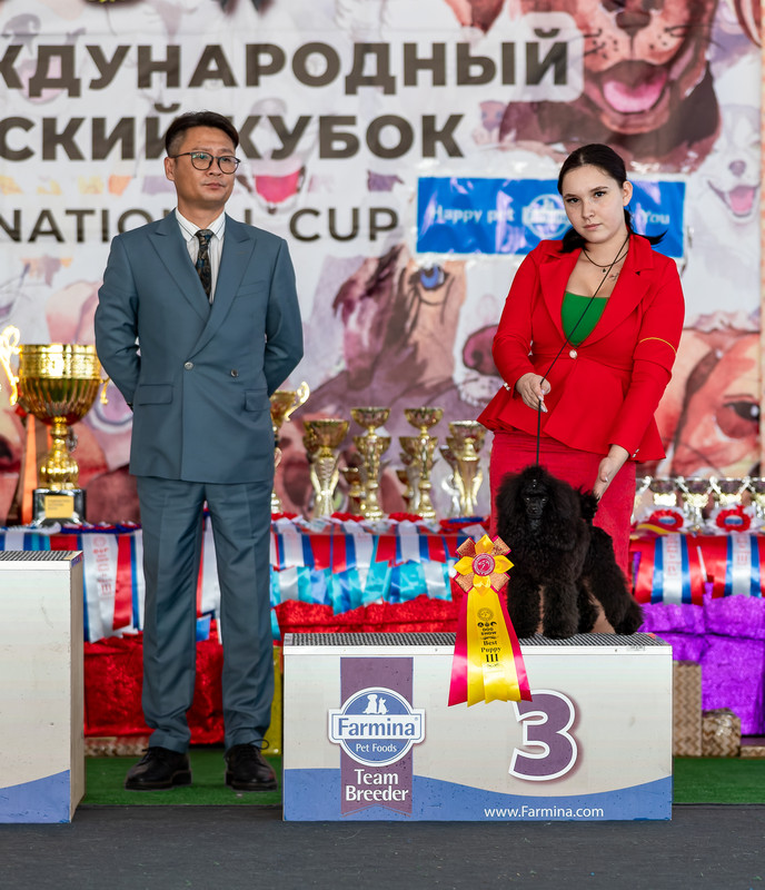 01 196 — Postimages