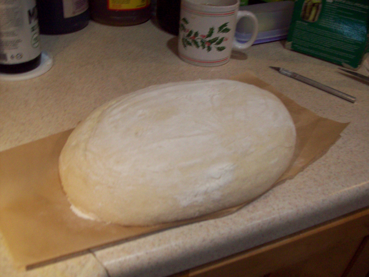 The Garden Thread - December, 2025