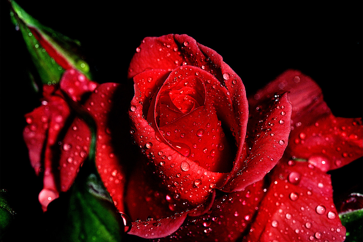 NK105 Red R — Postimages