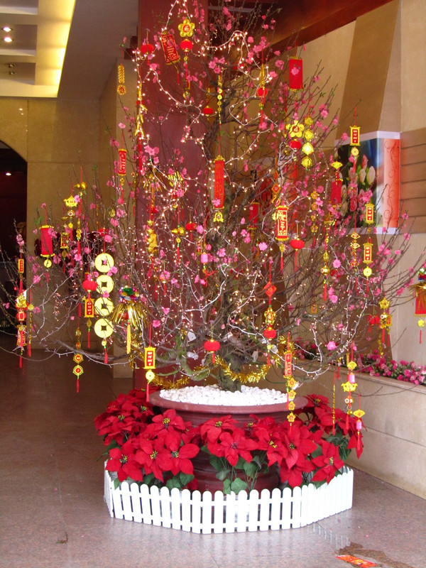 decorated peach blossom tet tree — Postimages