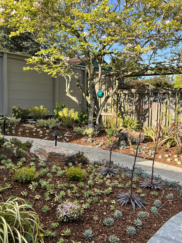 IMG 3417 — Postimages