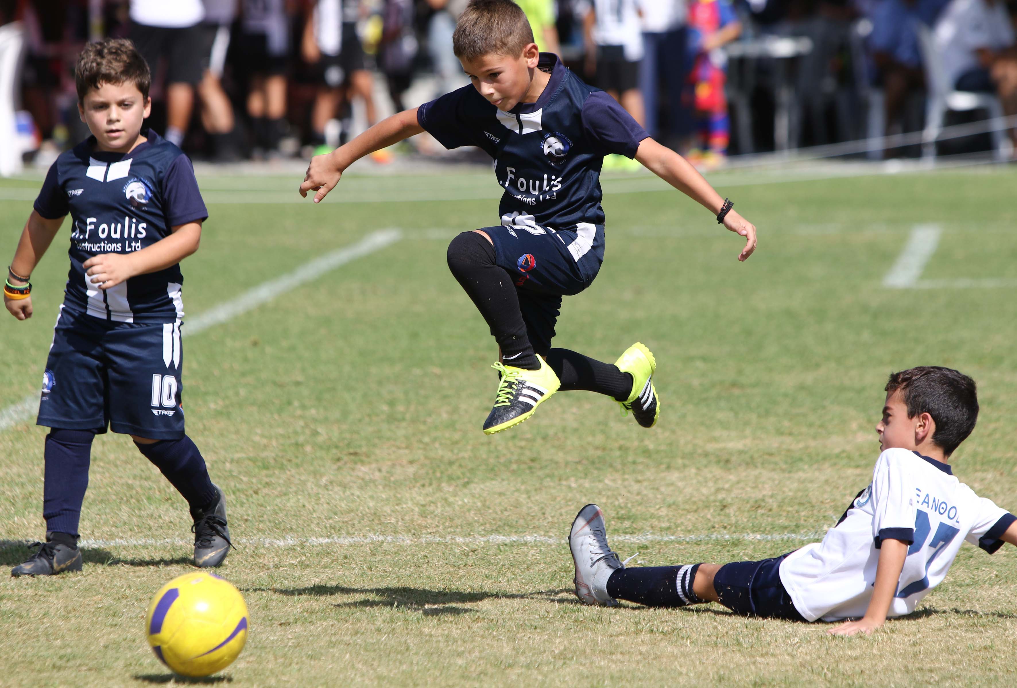 VIK 8291 — Postimages