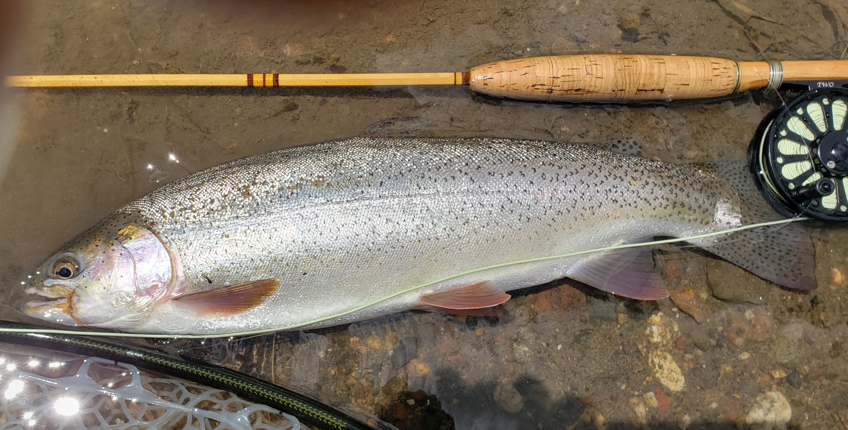 7612bow — Postimages