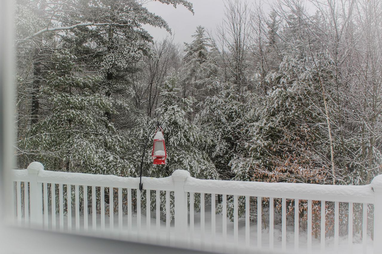 Window — Postimages