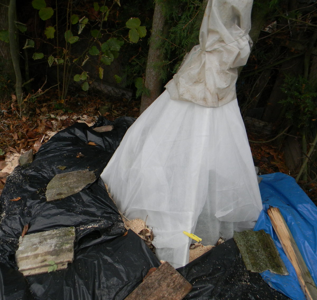 pyramid — Postimages