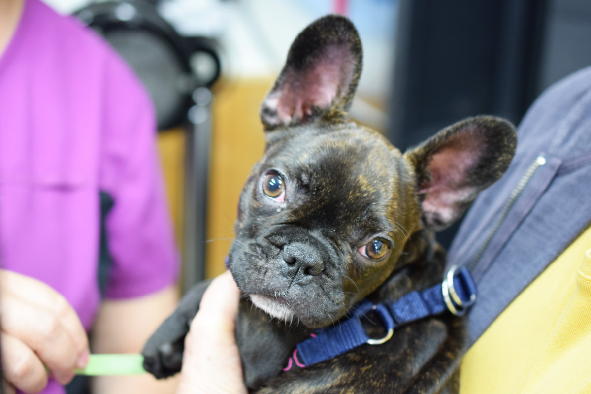 DSC 0002 — Postimages