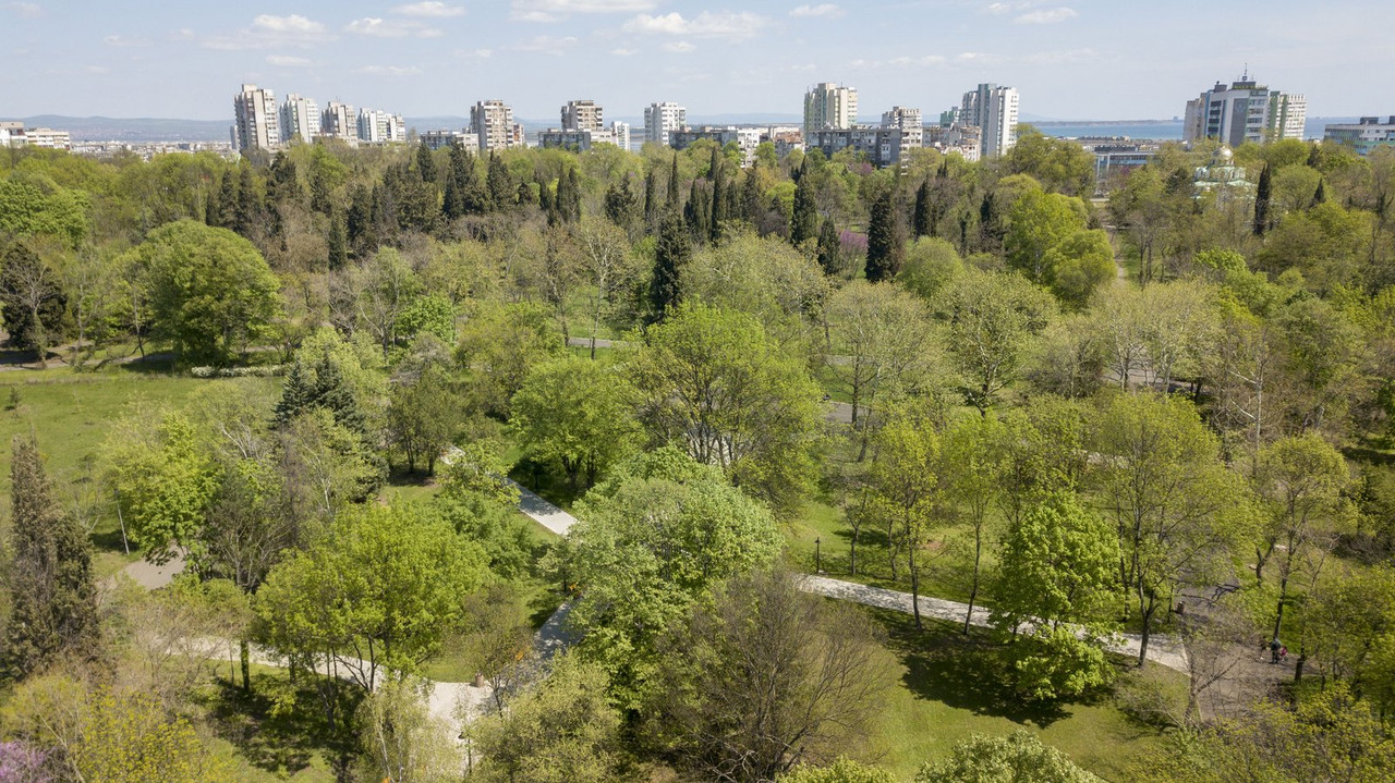 Document DR 217 — Postimages