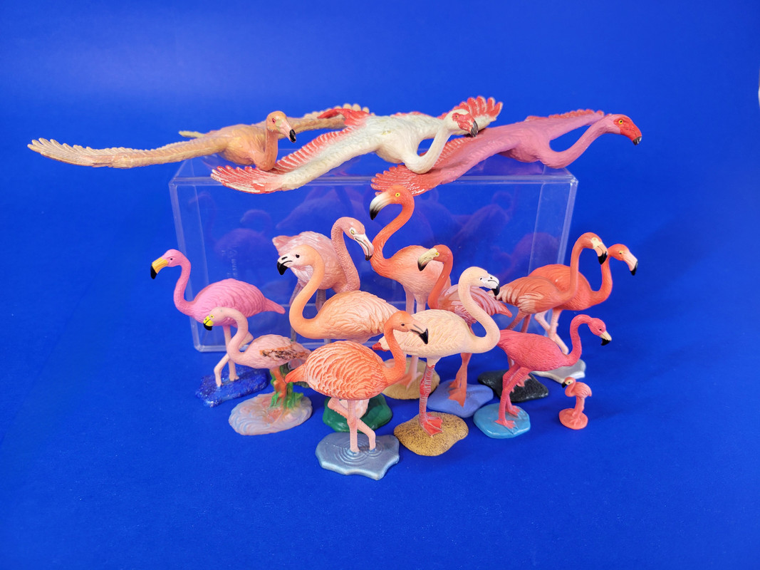 20240211 151819 — Postimages