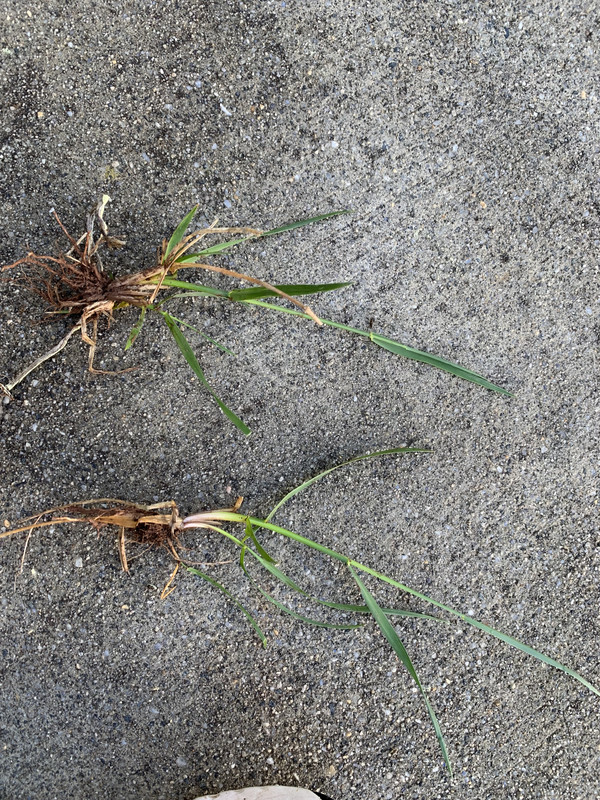 IMG 3780 — Postimages