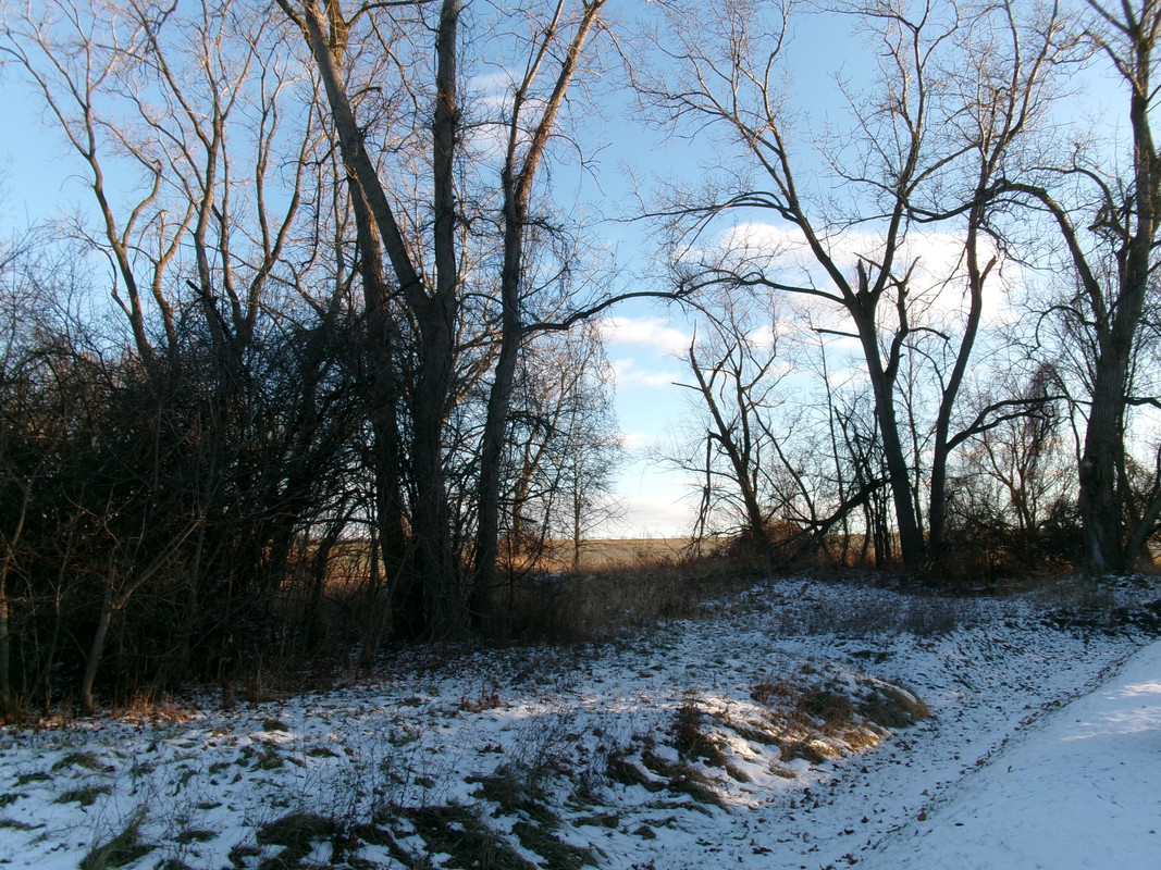 RunningAHEAD - Topic: Jumping January