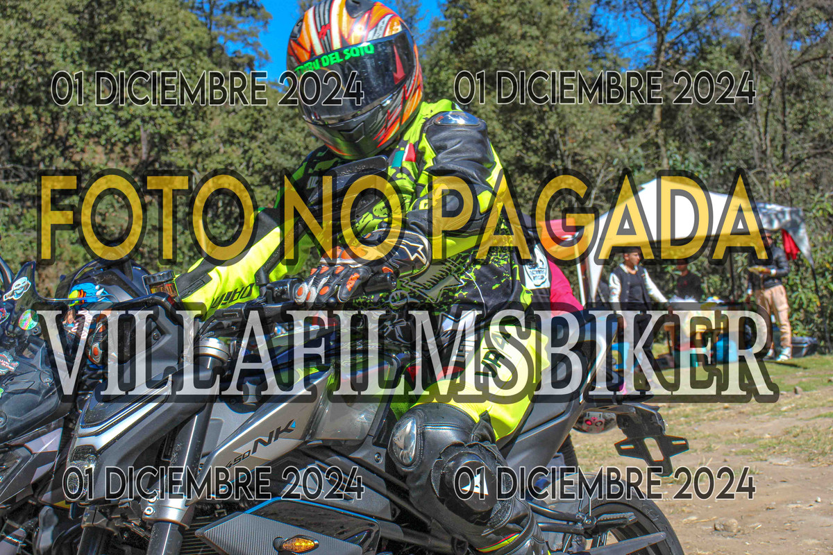 SC 13 — Postimages