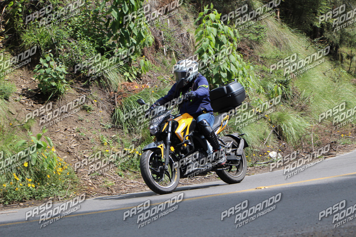 IMG 5911 wm 2774286 watermarked — Postimages