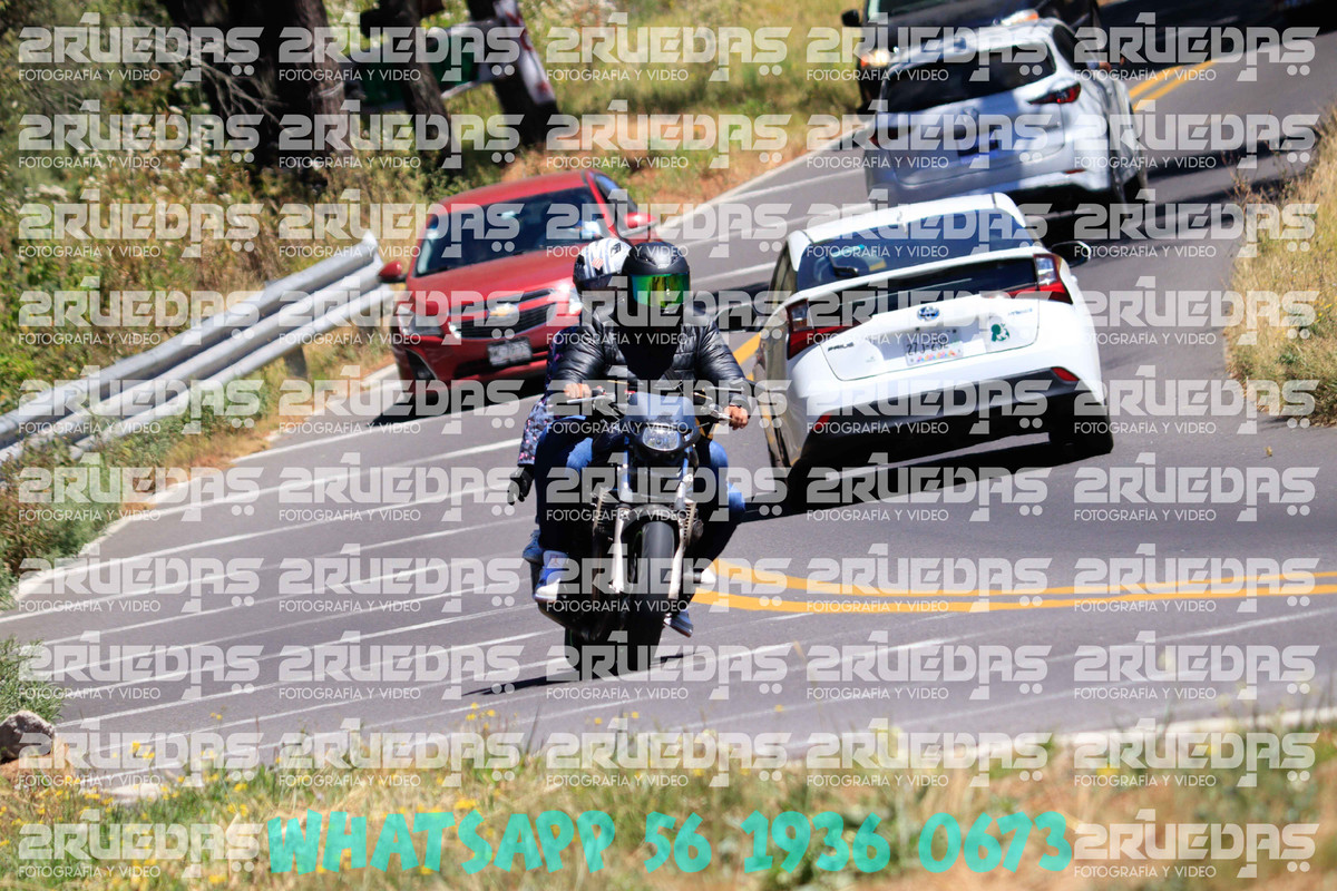 MG 1003 — Postimages