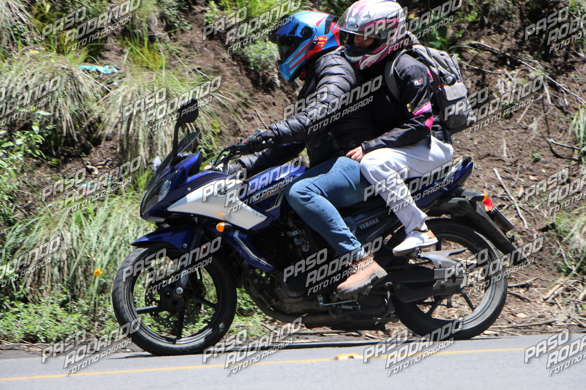 IMG 1888 wm 81640 watermarked — Postimages