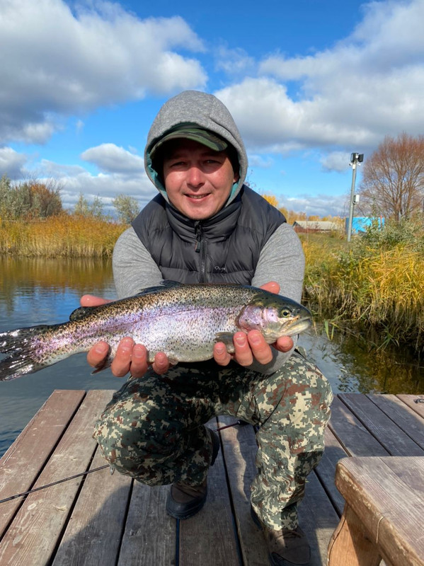 IMG 20201017 220802 928 — Postimages