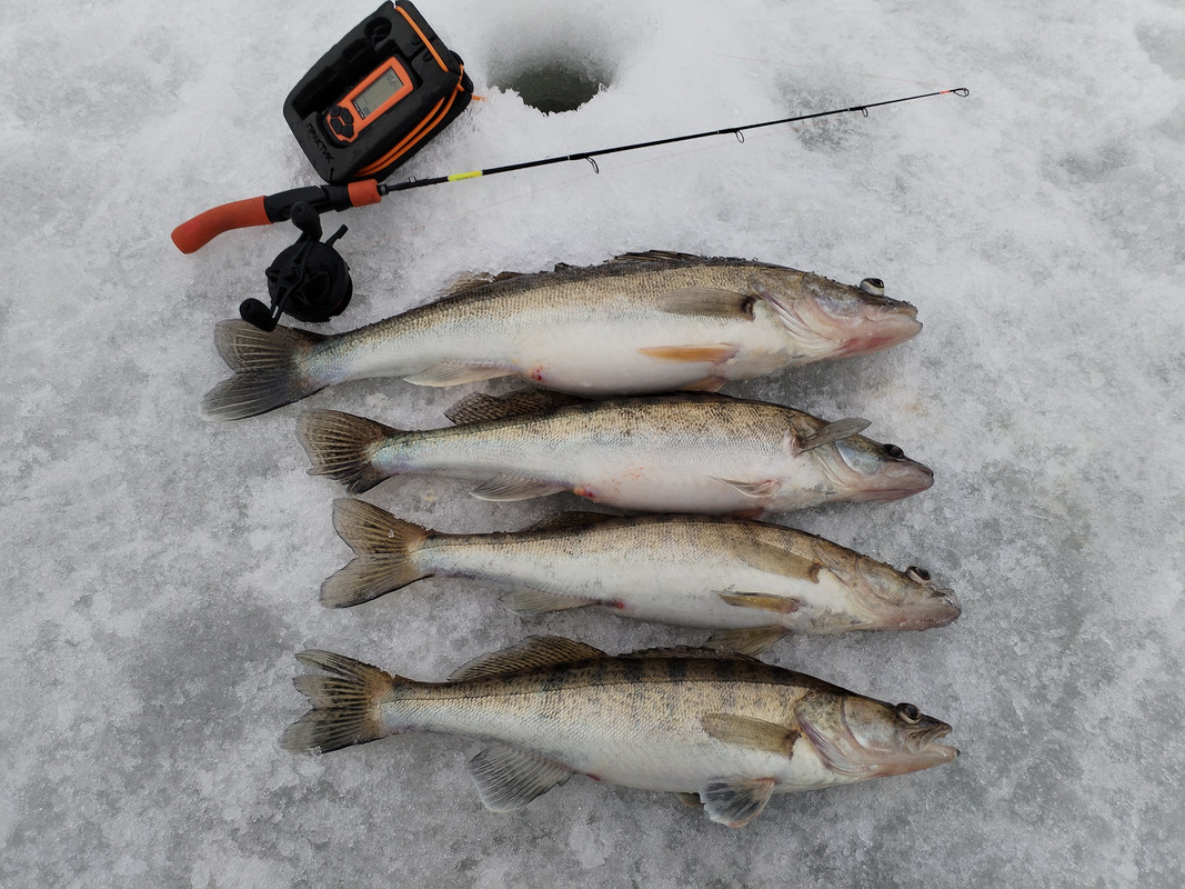 IMG 20240330 175749 — Postimages