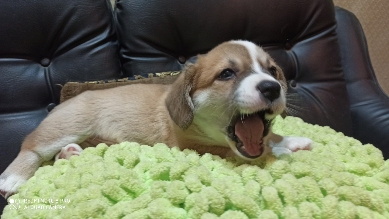 IMG 20231208 152117 — Postimages