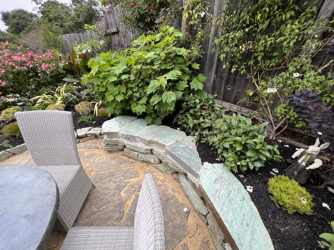 A5 E37 F15 F4 BE 46 CE 93 CA DBC53 DEDEC3 C — Postimages