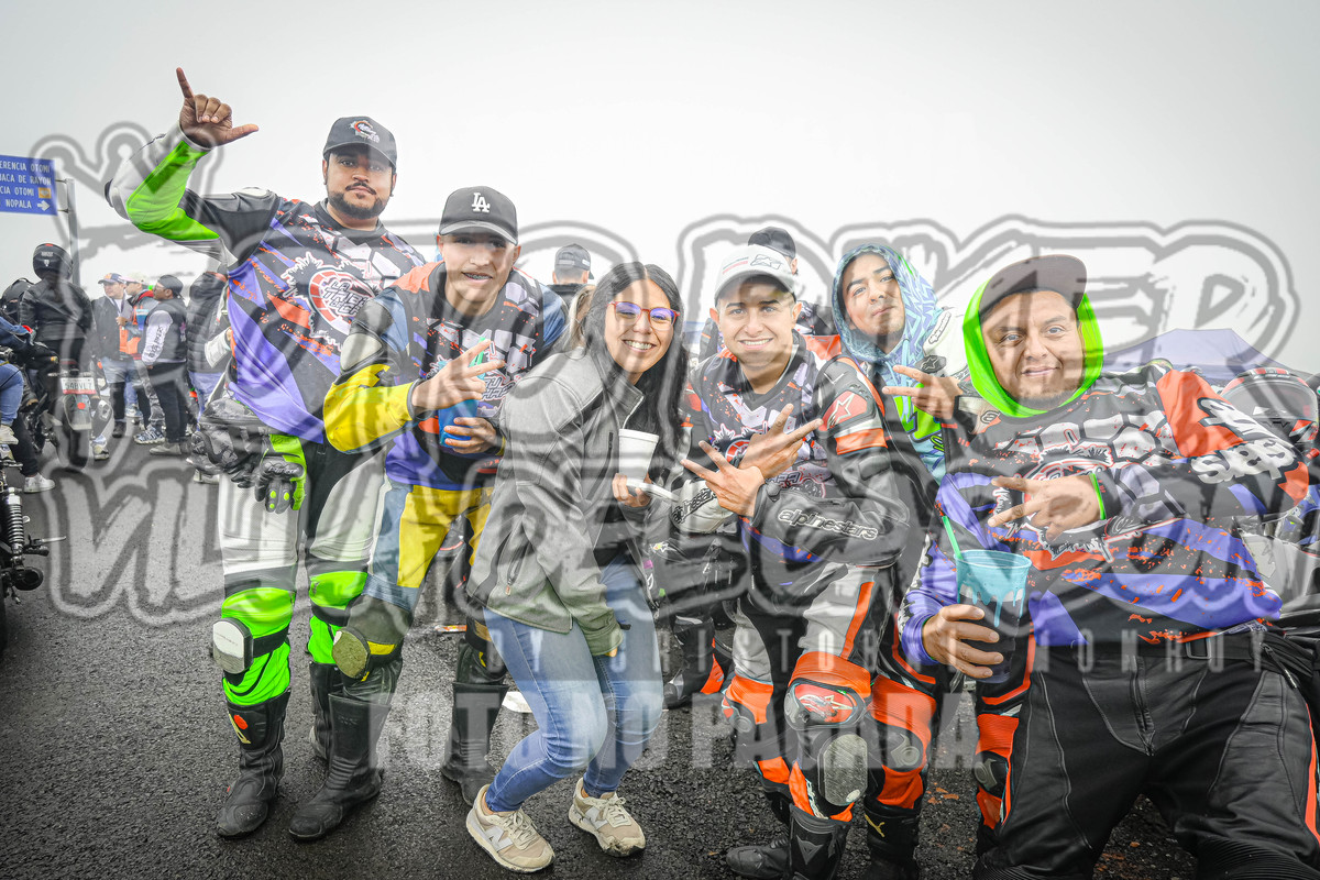 pald2 121 — Postimages