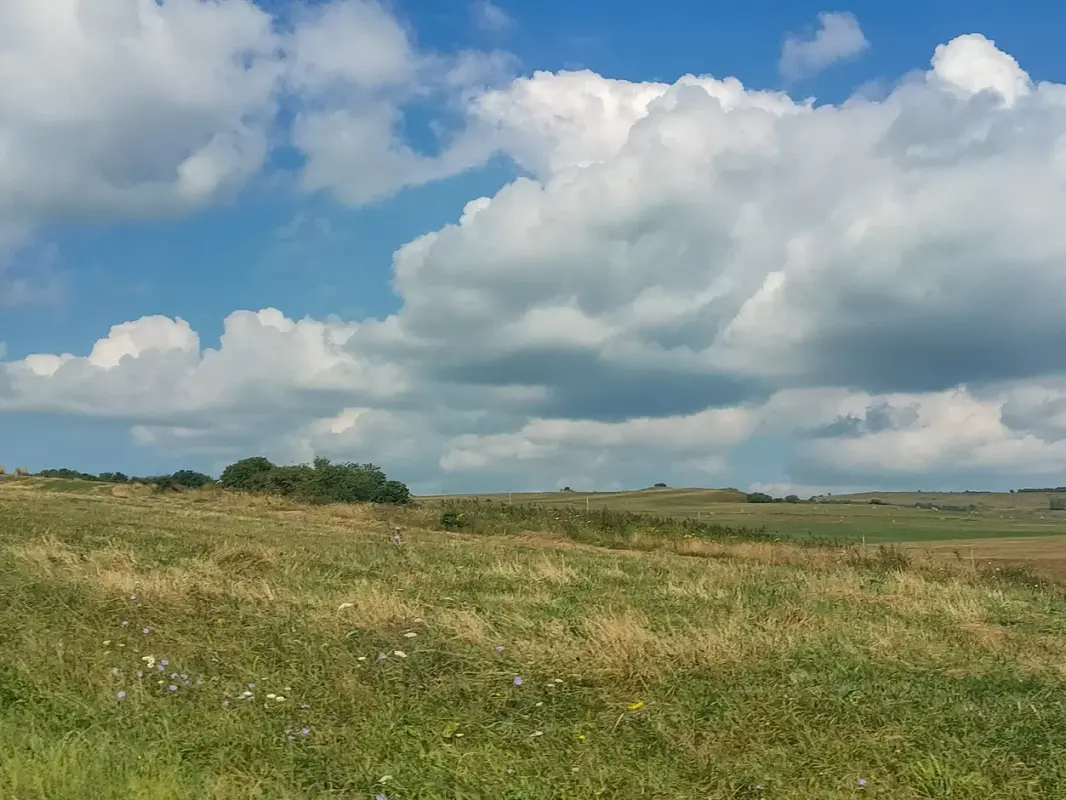 2023 08 26 09 30 27 — Postimages