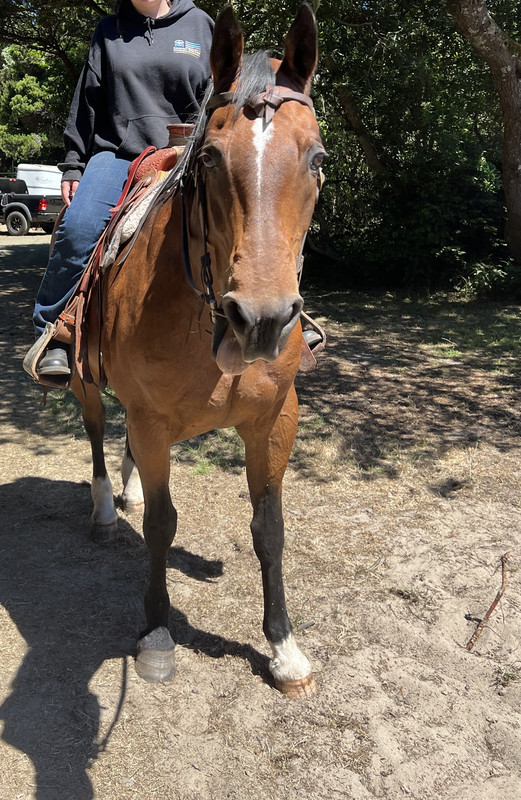 IMG 5561 — Postimages