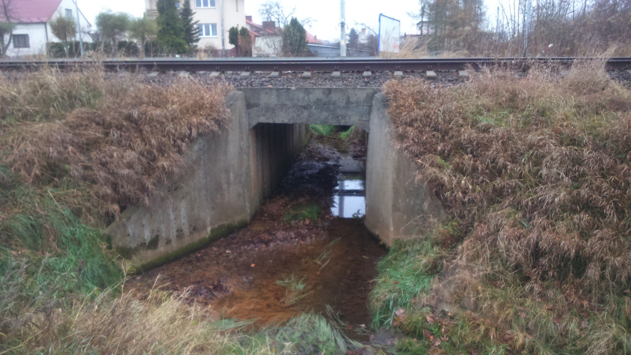 DSC 0157 — Postimages