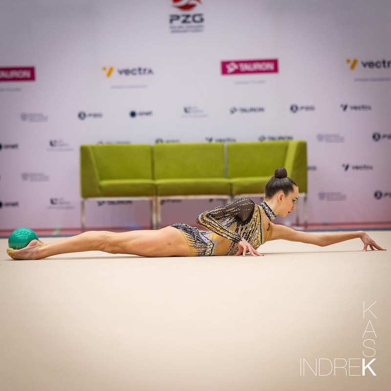 schmidt polish cup24 2d — Postimages