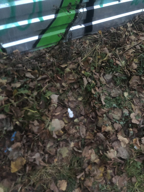 IMG 1001 — Postimages