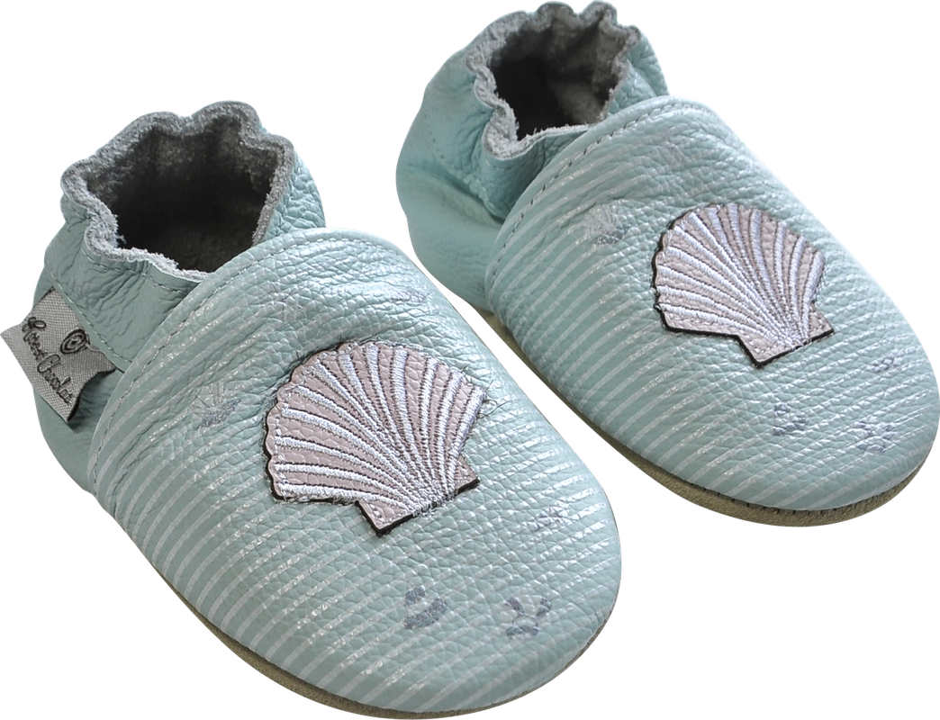 RCC255 Seashell (2) copy — Postimages