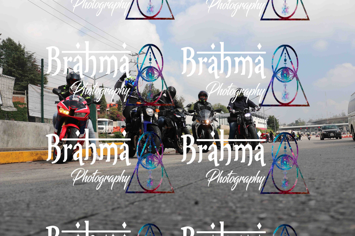 IMG 1519 — Postimages