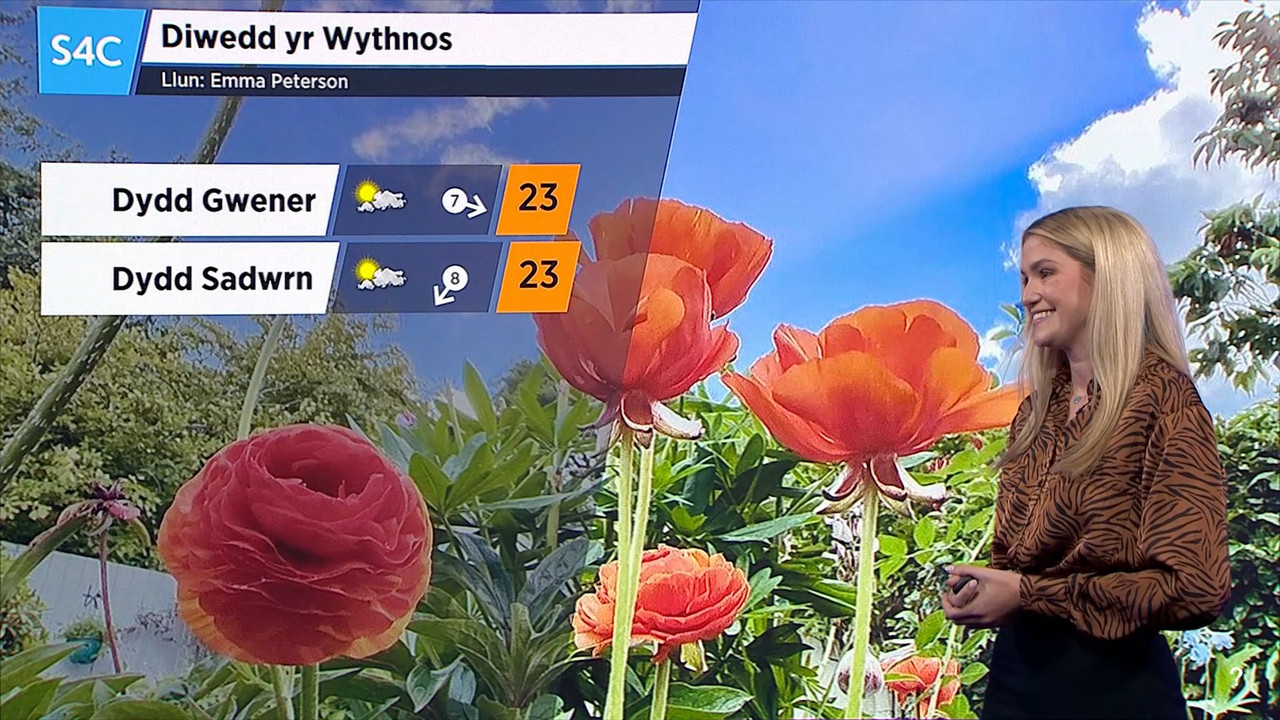 08 22 19 30 00 Newyddion S4 C Newyddion S4 C a'r Tywydd S4 C News ts ...