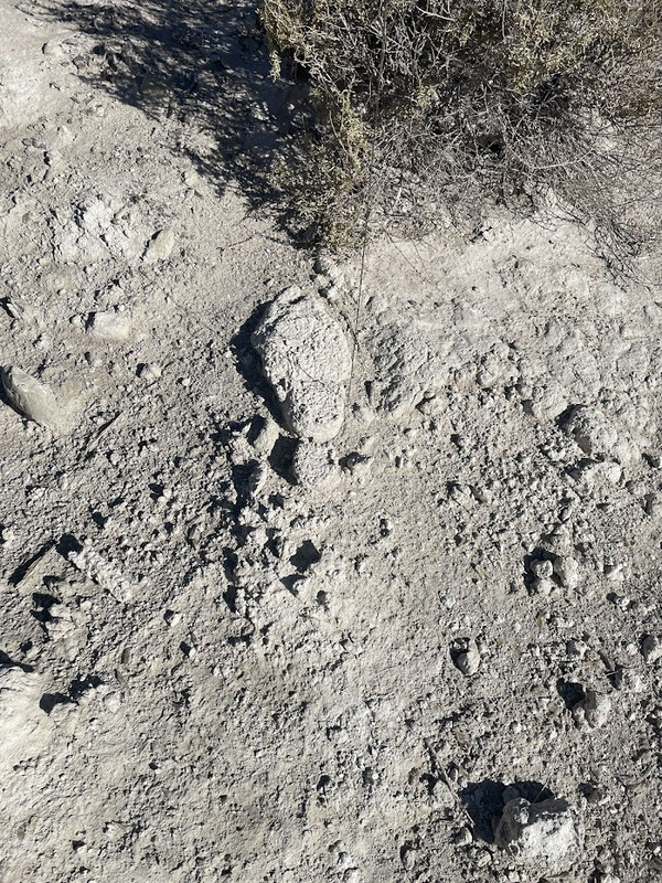 DGRVP-Absolute Mad Lads - Spymaster Garbo > General Discussion > AR15.COM