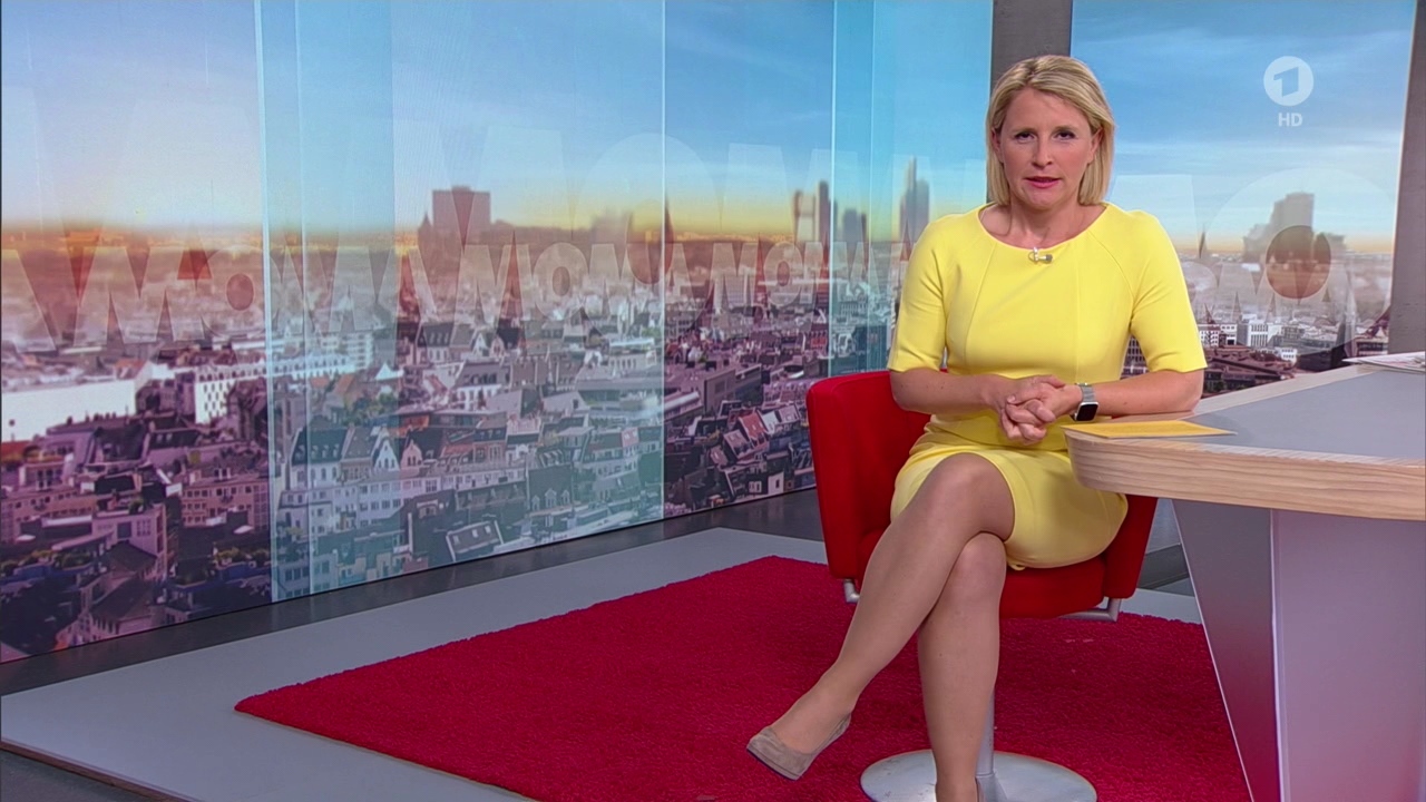 Susan Link ARD Mo Ma 27 04 2020 pp 047 — Postimages